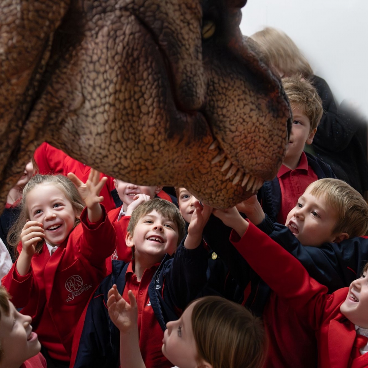 Prenton Preparatory School - Teach Rex